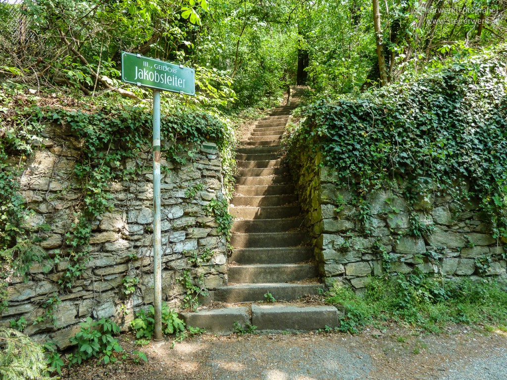 Thalersee: Beliebtes Naherholungsgebiet der Grazer - Graz Stadtportal